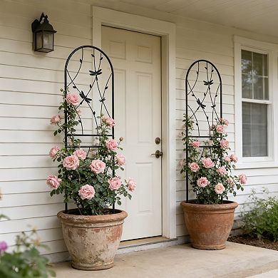 Aoolive 2-Pack Dragonfly Metal Garden Trellis, 71" Rustproof Decorative ...