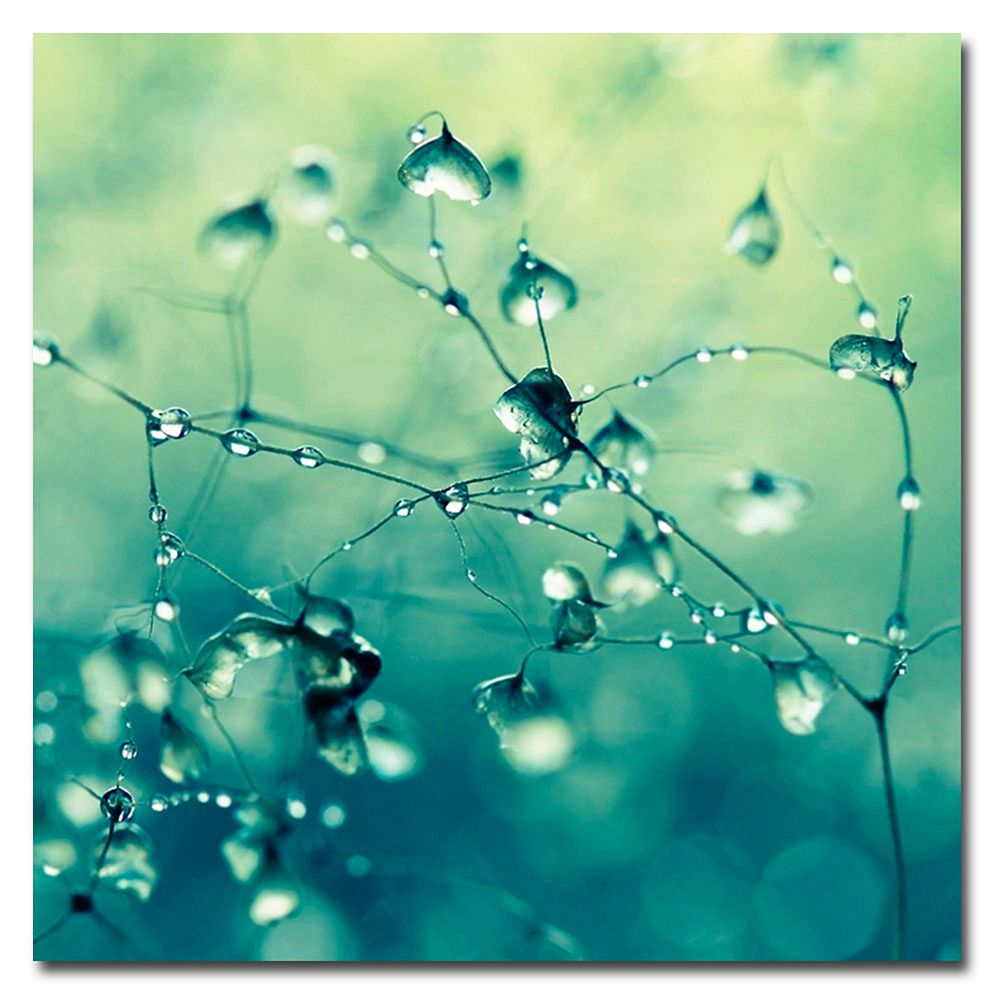 ''Spring Notes'' Canvas Wall Art