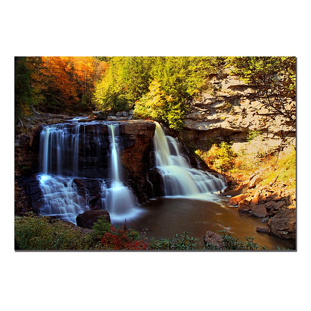 ''Motion'' Waterfall Canvas Wall Art